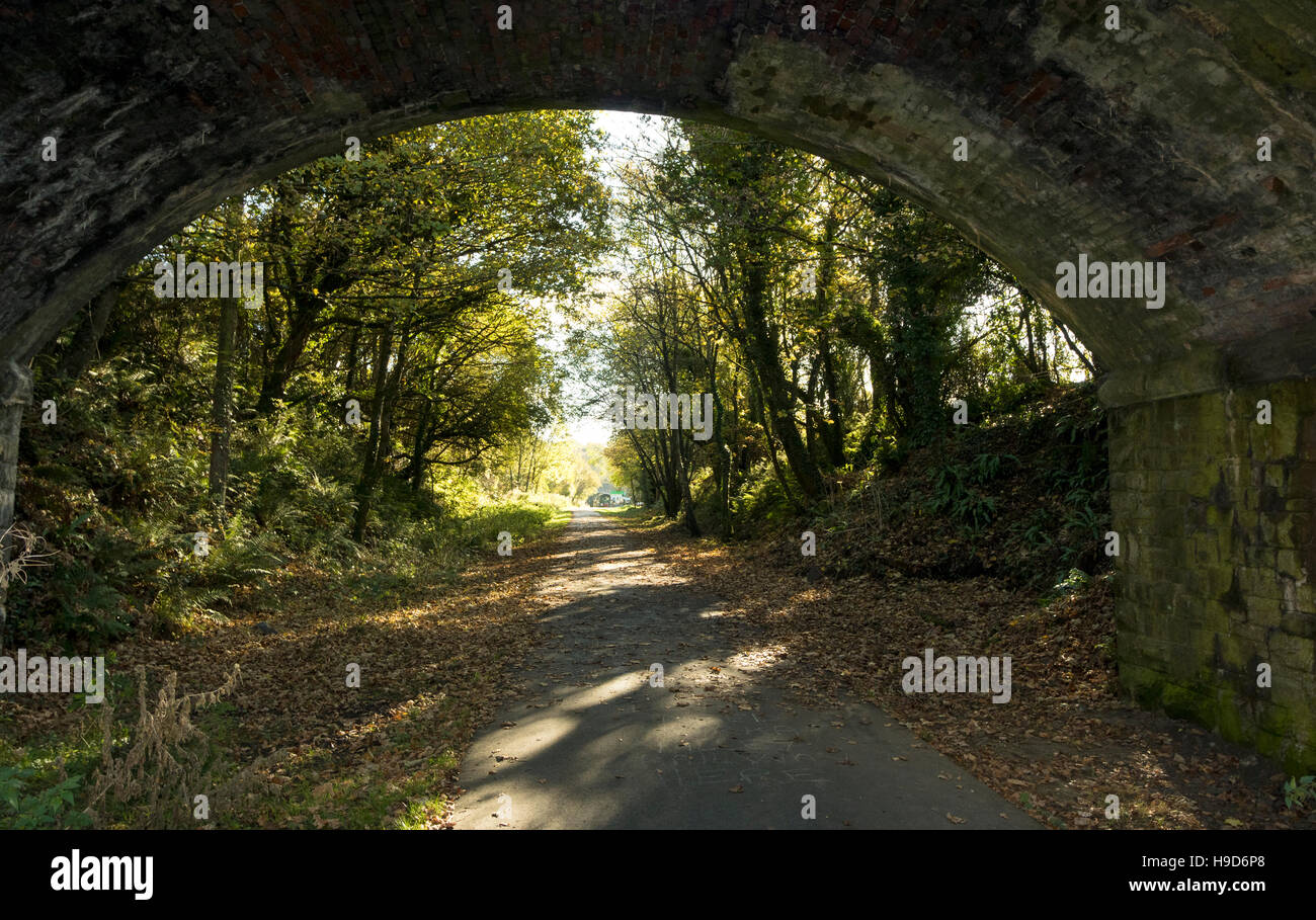 Tarka Trail Autumn View - Beneath a Small Bridge, Looking Towards Great ...