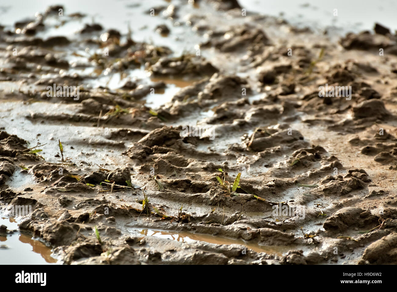 Dirty soil hi-res stock photography and images - Alamy