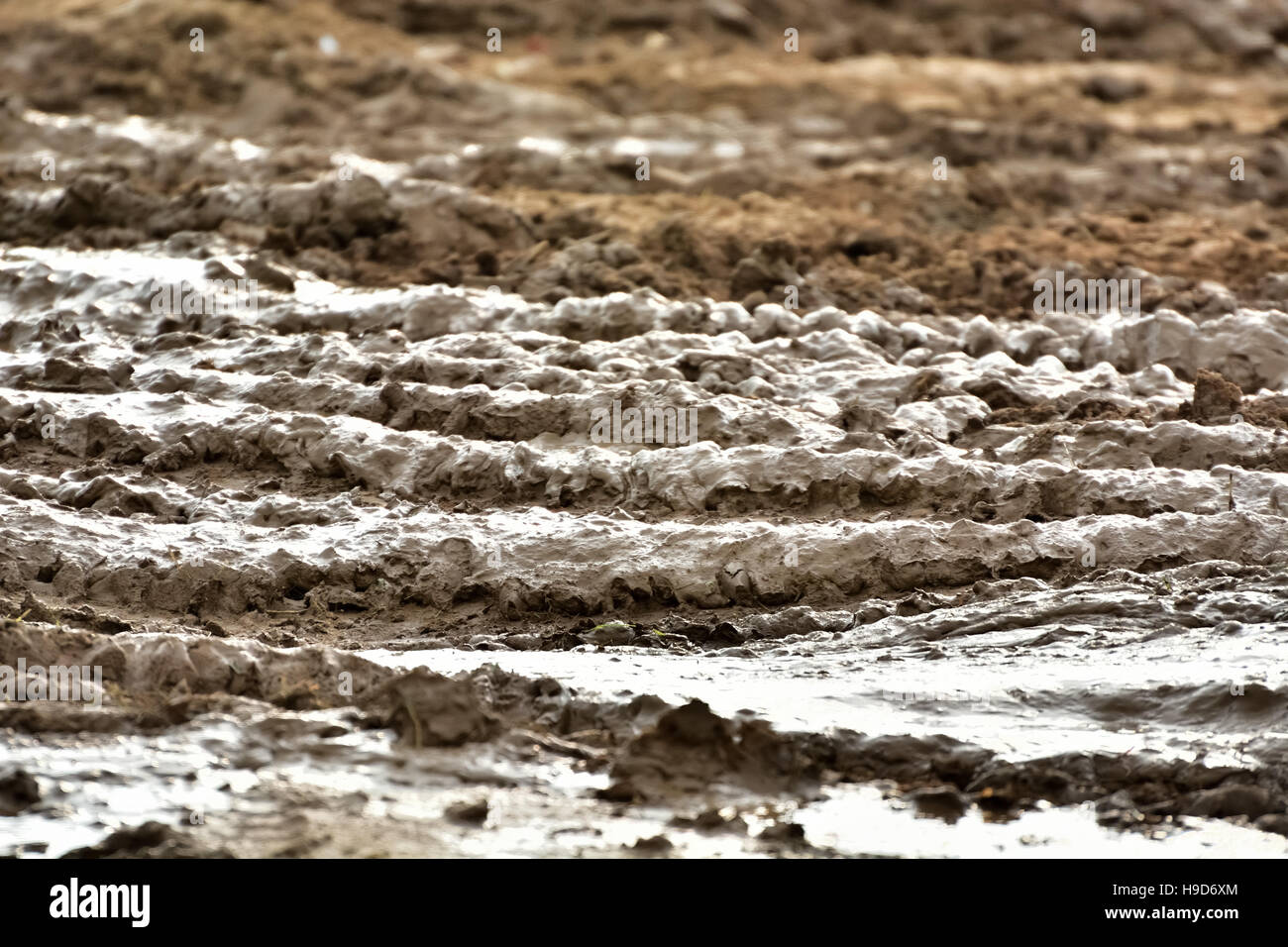 Dirty soil hi-res stock photography and images - Alamy