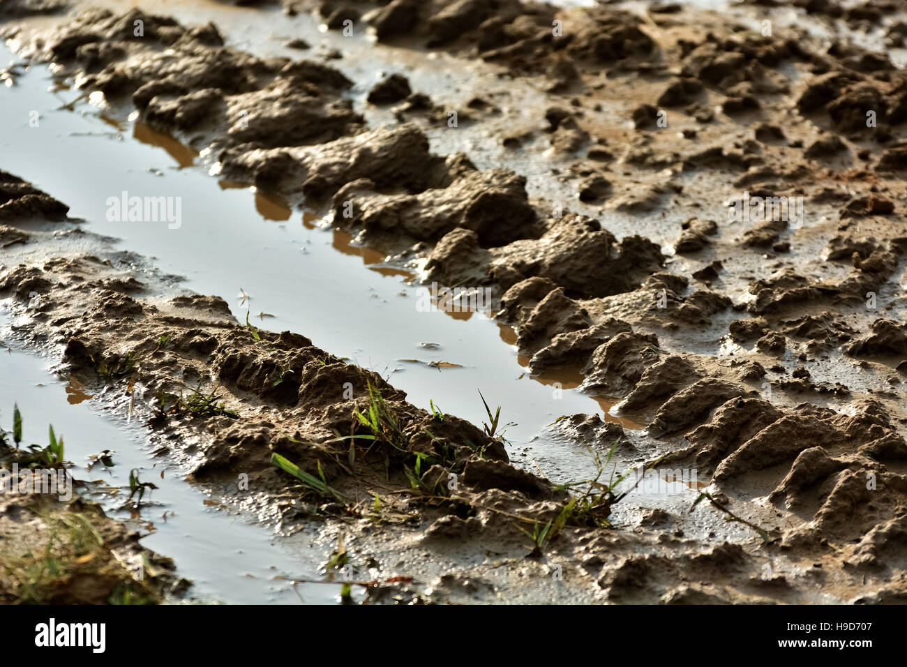 Dirty soil hi-res stock photography and images - Alamy