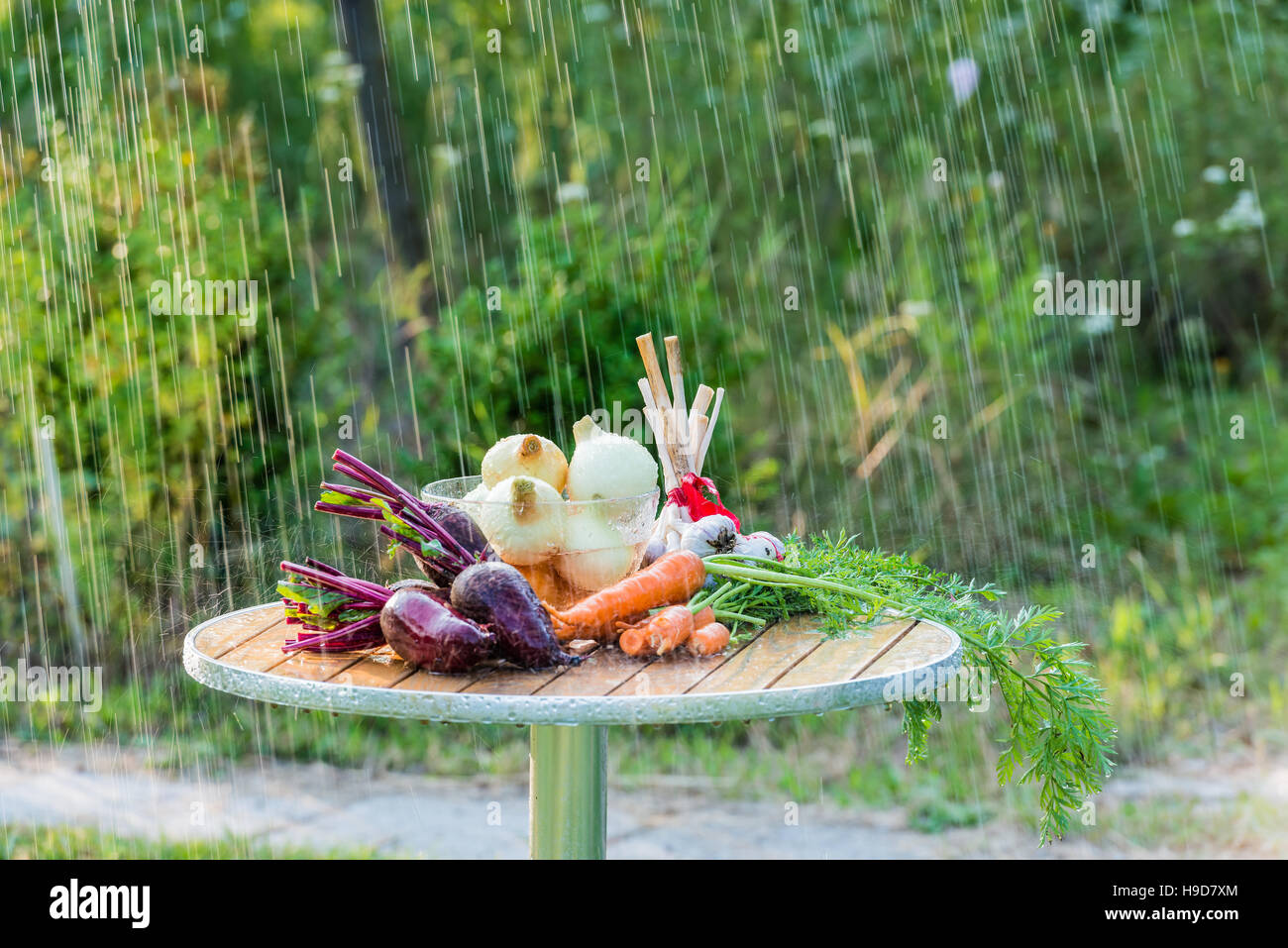 Summer rain and vegetables Stock Photo - Alamy