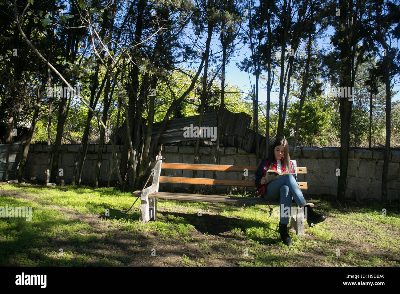 girl posing in a bench Stock Photo - Alamy