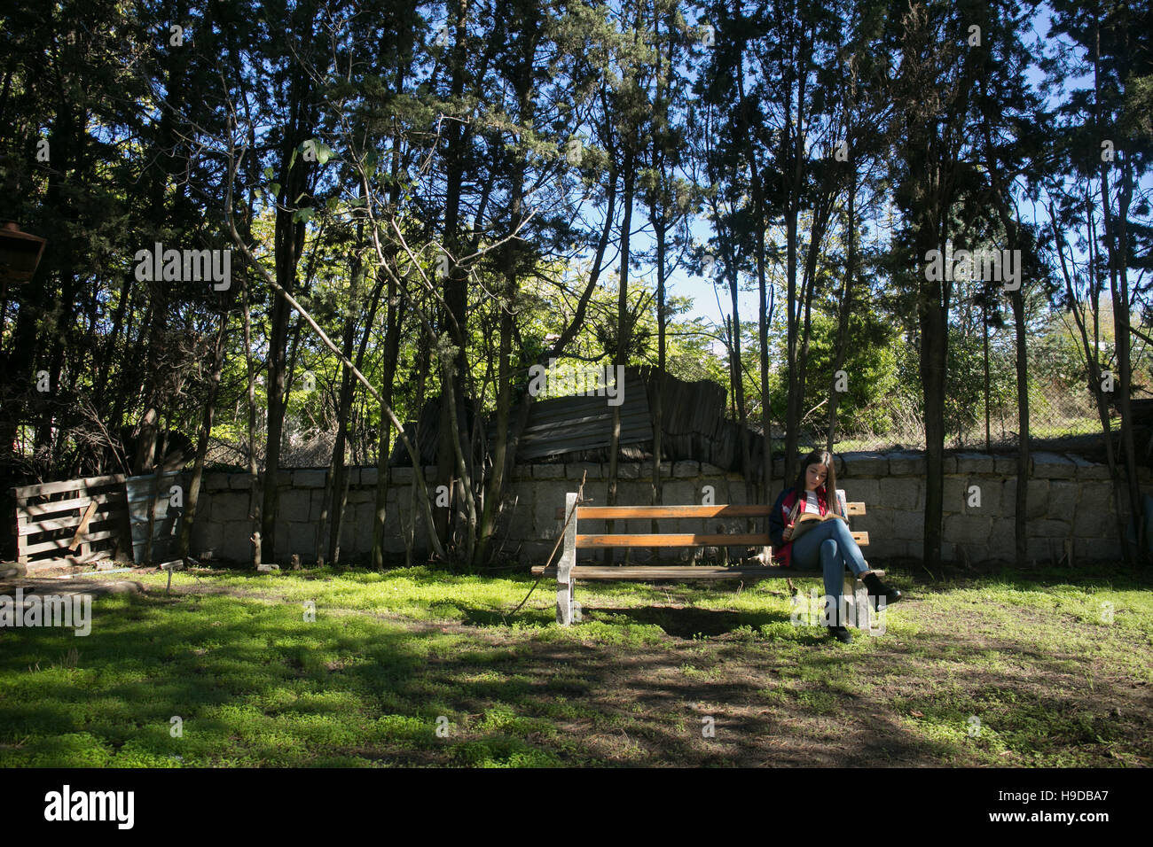 girl posing in a bench Stock Photo - Alamy