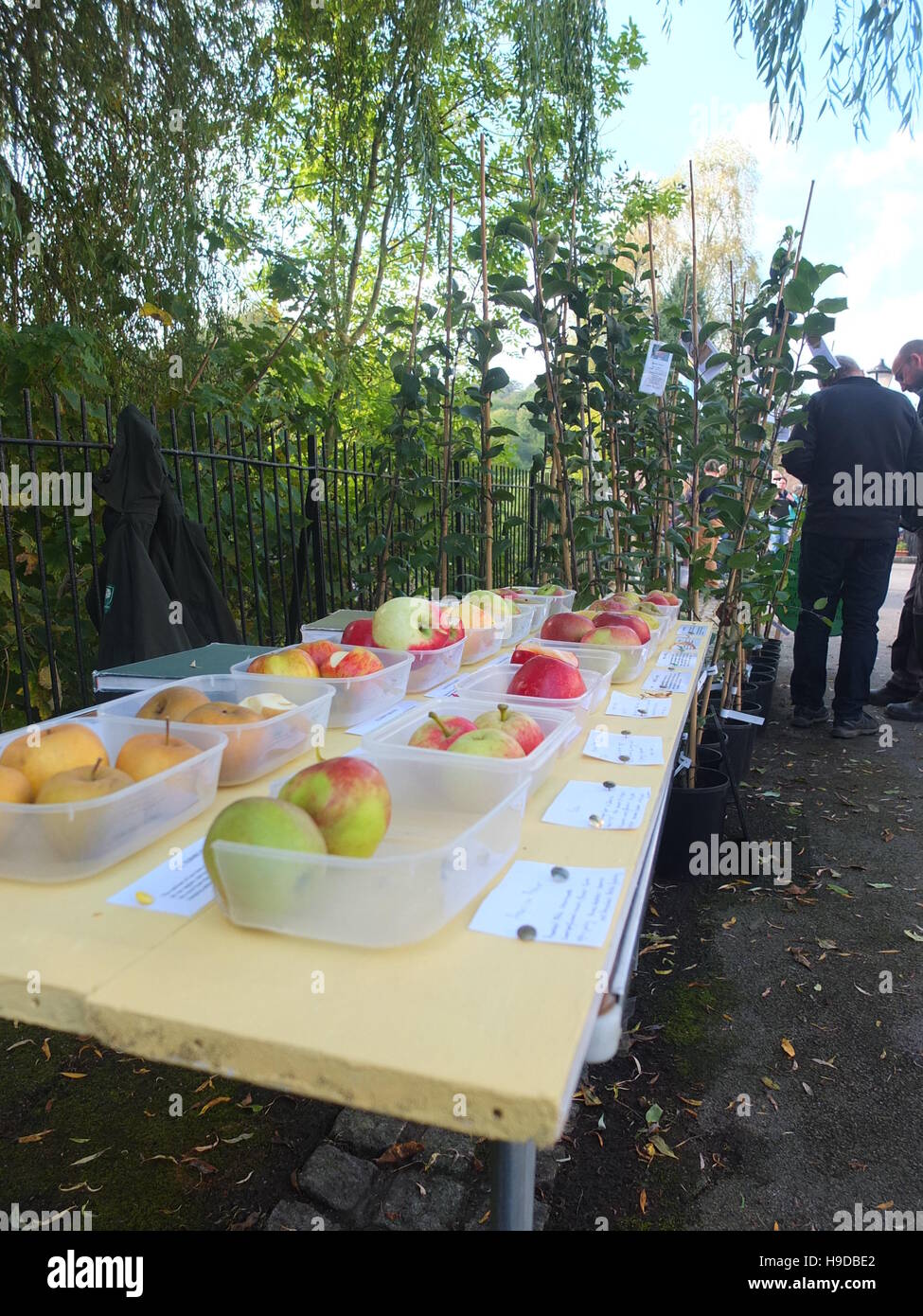 A stall with varieties of apples on display with descriptions of their ...
