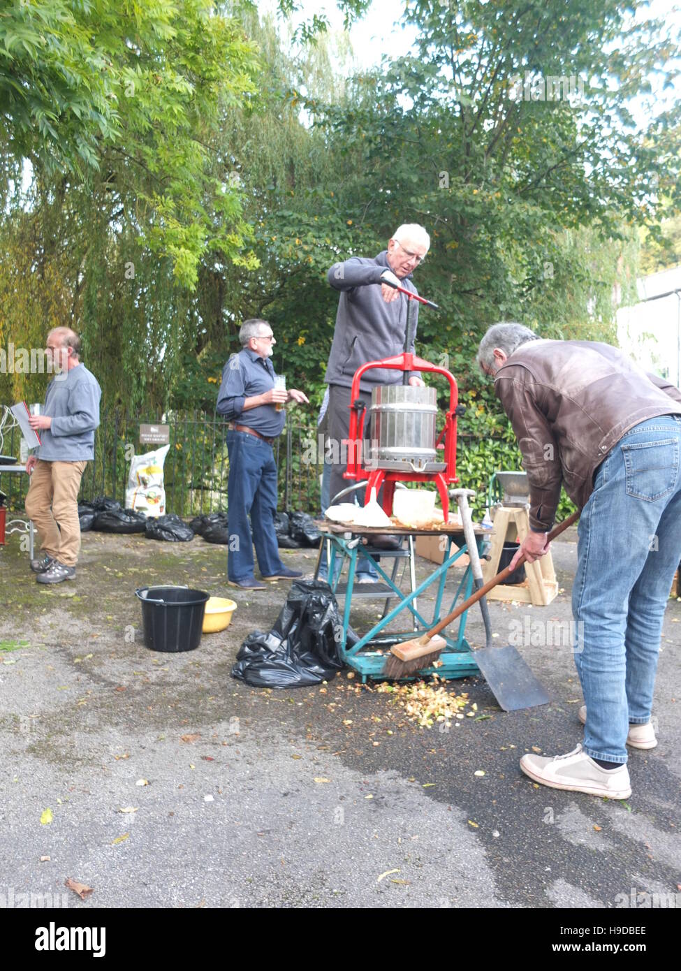 Sweeping up spilt chopped apples being pressed into juice at Cromford ...