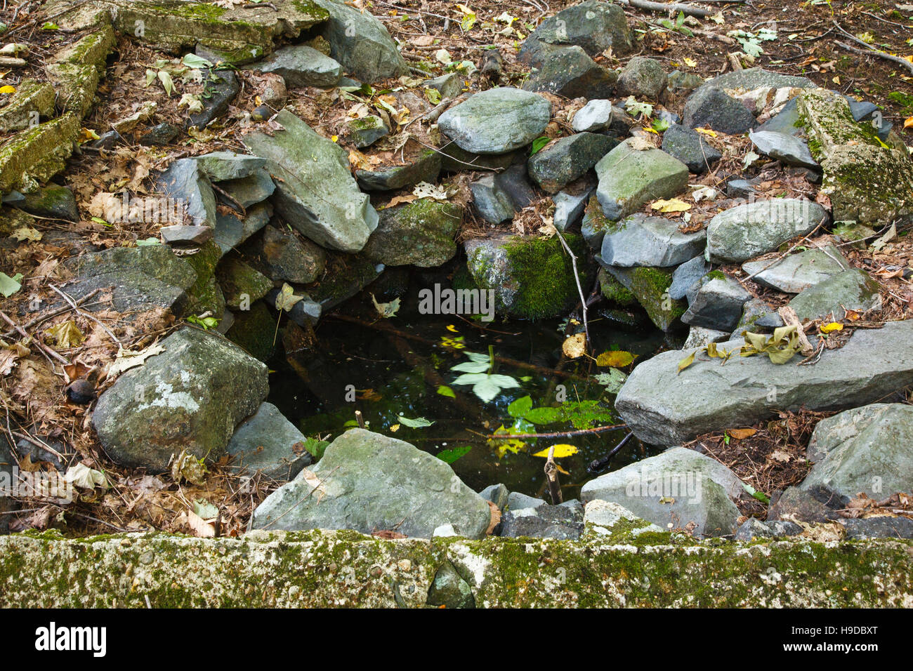 A dug well in Pawtuckaway State Park in Nottingham, New Hampshire USA ...