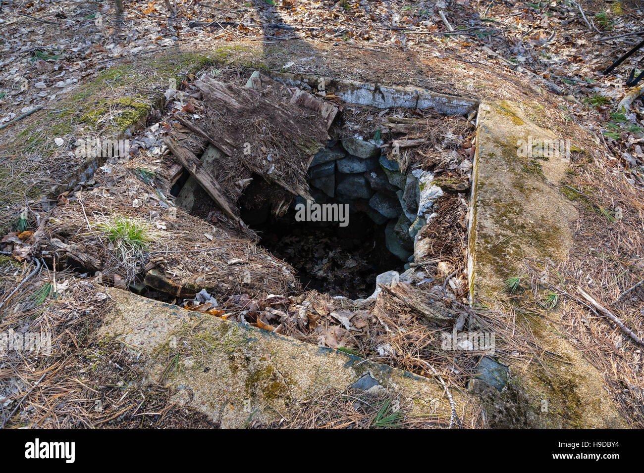 Dug well hi-res stock photography and images - Alamy