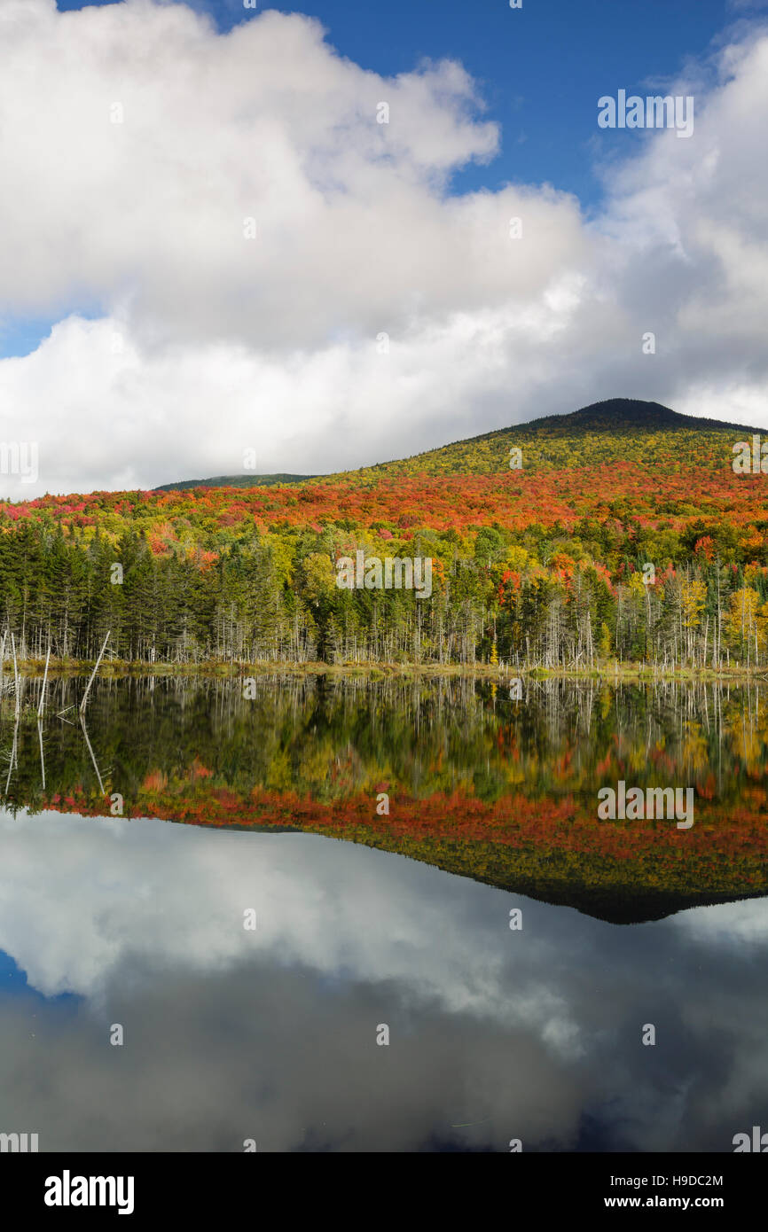 Reflection of autumn foliage on Mount Deception in a small pond along ...
