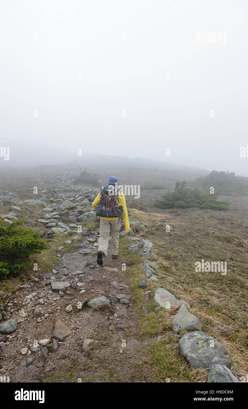 Hiker in fog ascending Gorge Brook Trail, near the summit of Mount ...