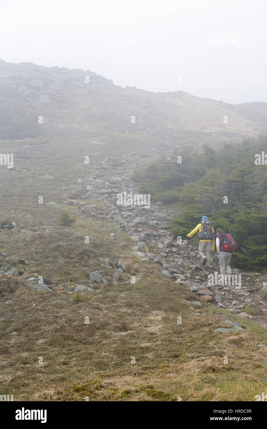 Hikers in fog ascending Gorge Brook Trail, near the summit of Mount ...
