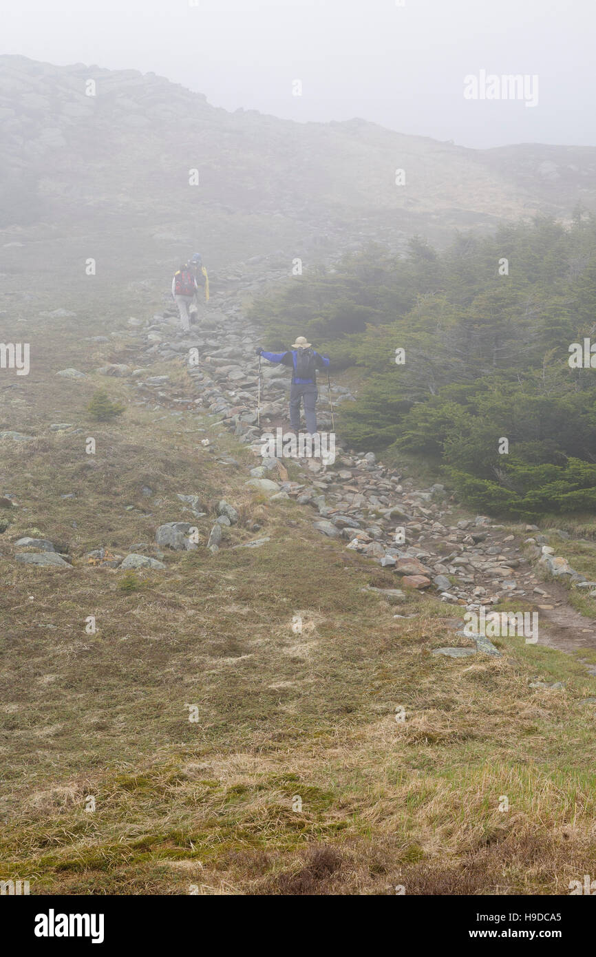 Hikers in fog ascending Gorge Brook Trail, near the summit of Mount ...