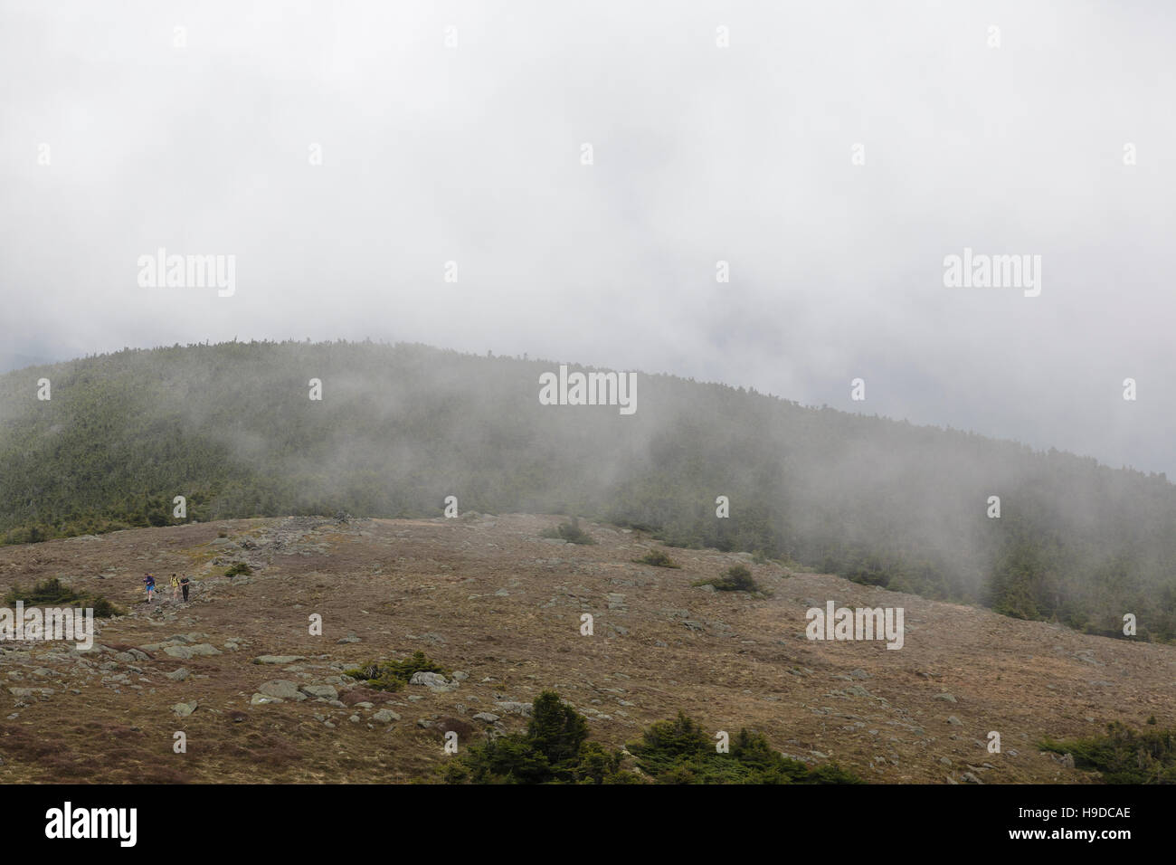 Hikers on the summit of Mount Moosilauke, in Benton, New Hampshire USA ...