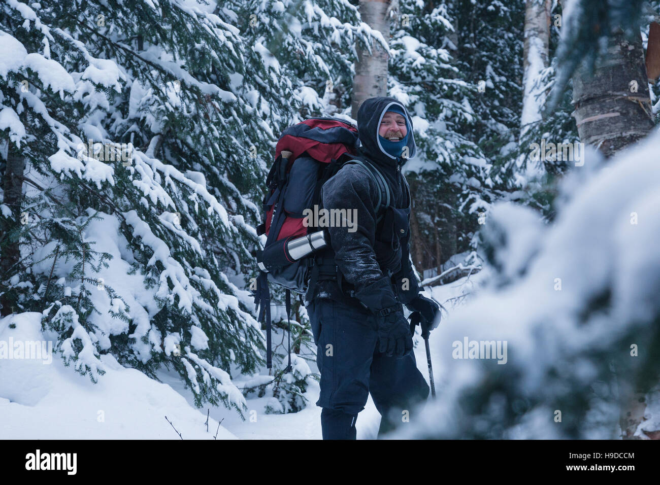 Hiking on North Carter Trail in the White Mountains, New Hampshire ...