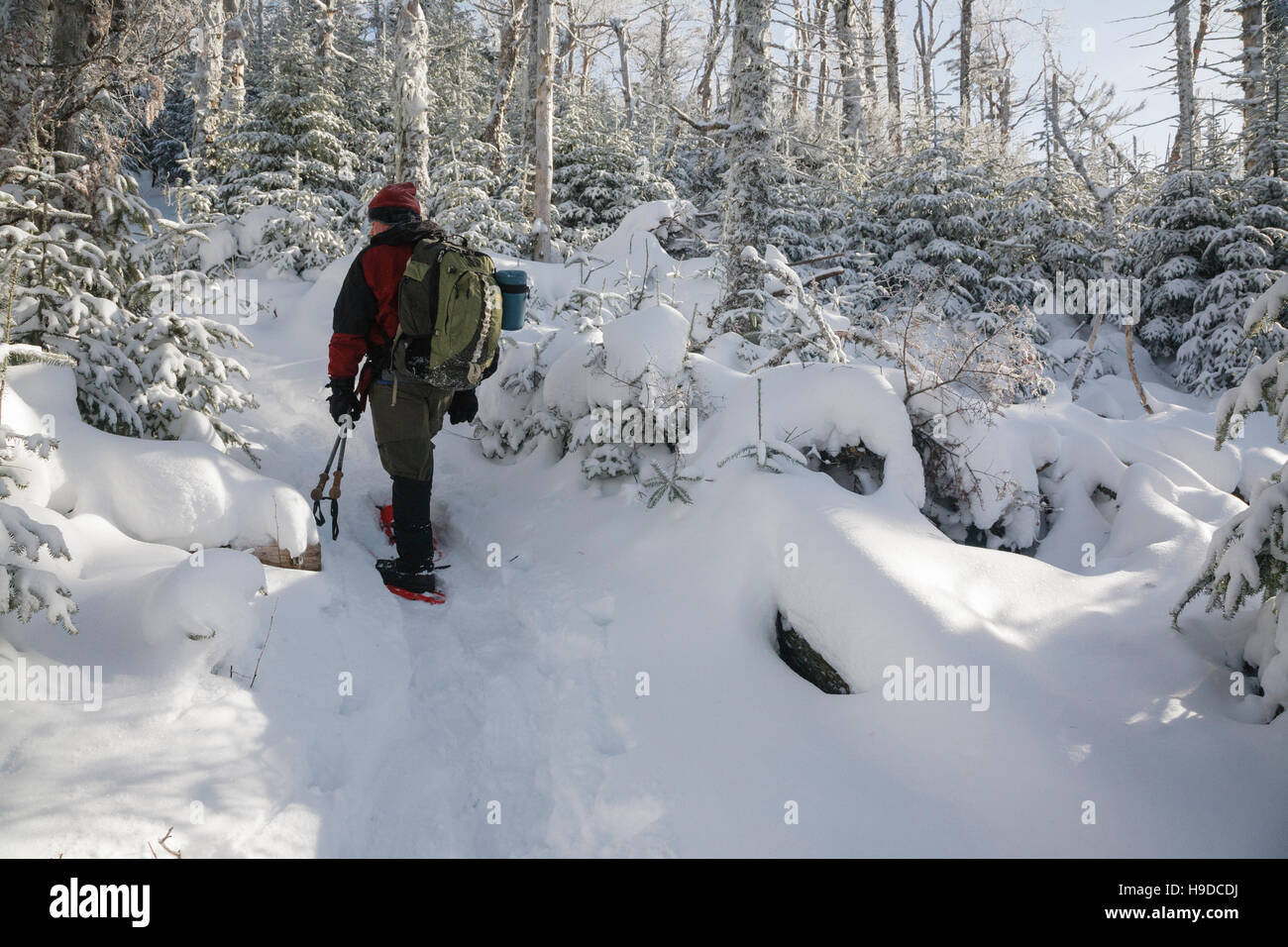 Hiking on North Carter Trail in the White Mountains, New Hampshire ...