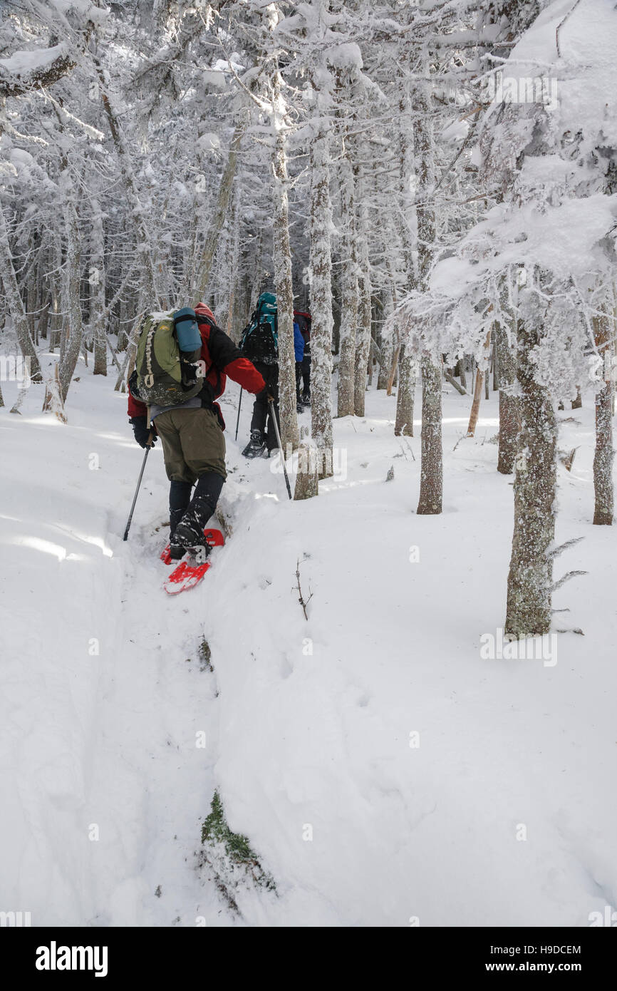 Hiking on North Carter Trail in the White Mountains, New Hampshire ...