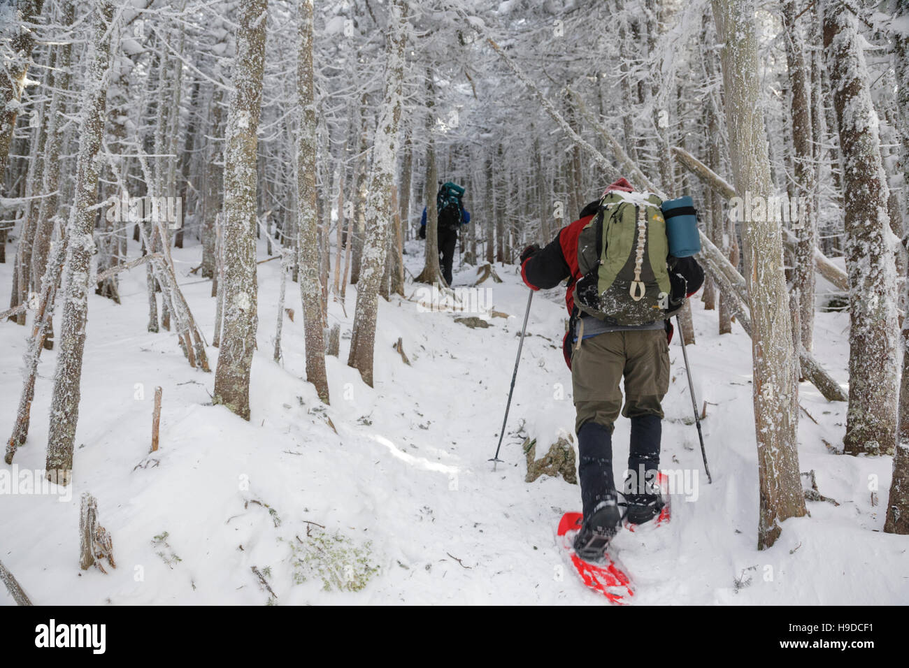 Hiking on North Carter Trail in the White Mountains, New Hampshire ...