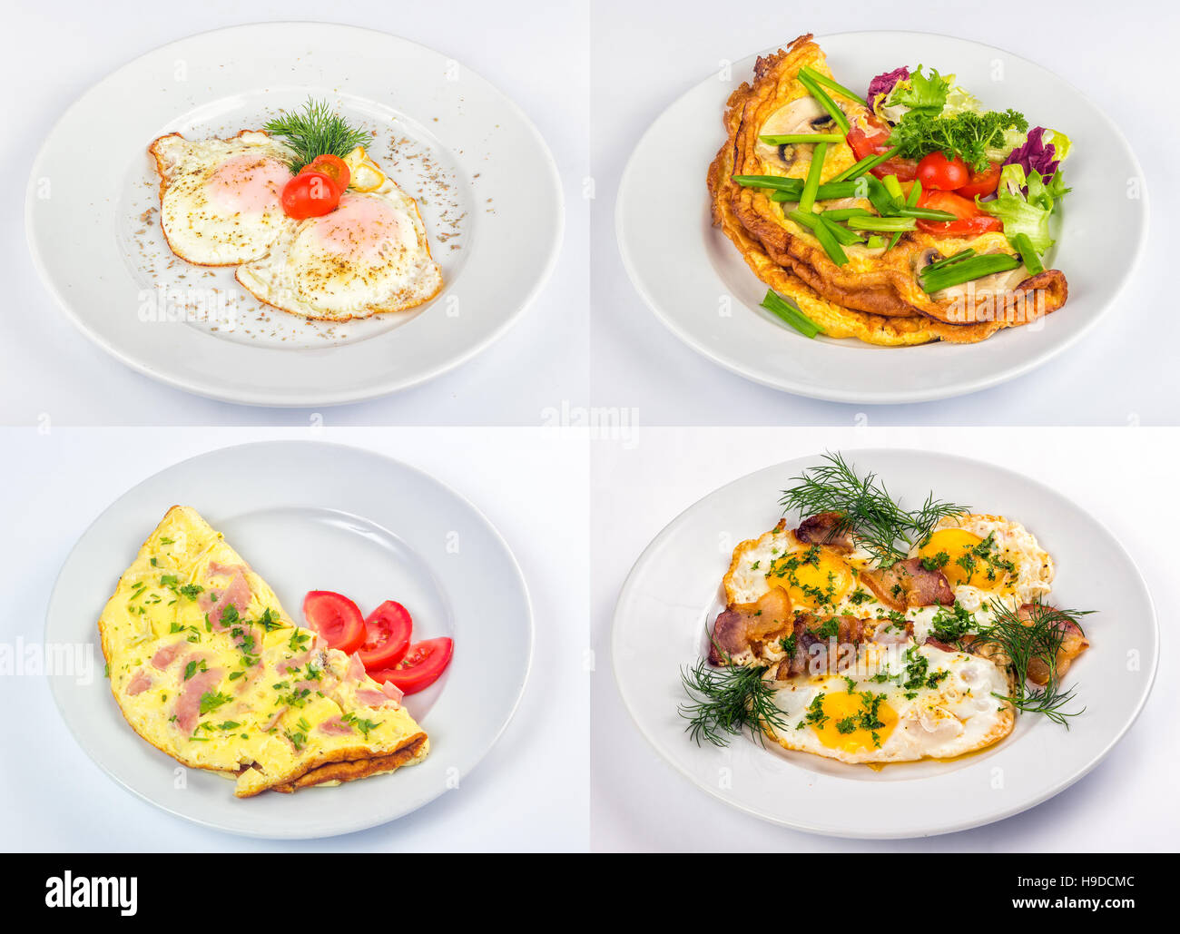 Different Types Of Omelets