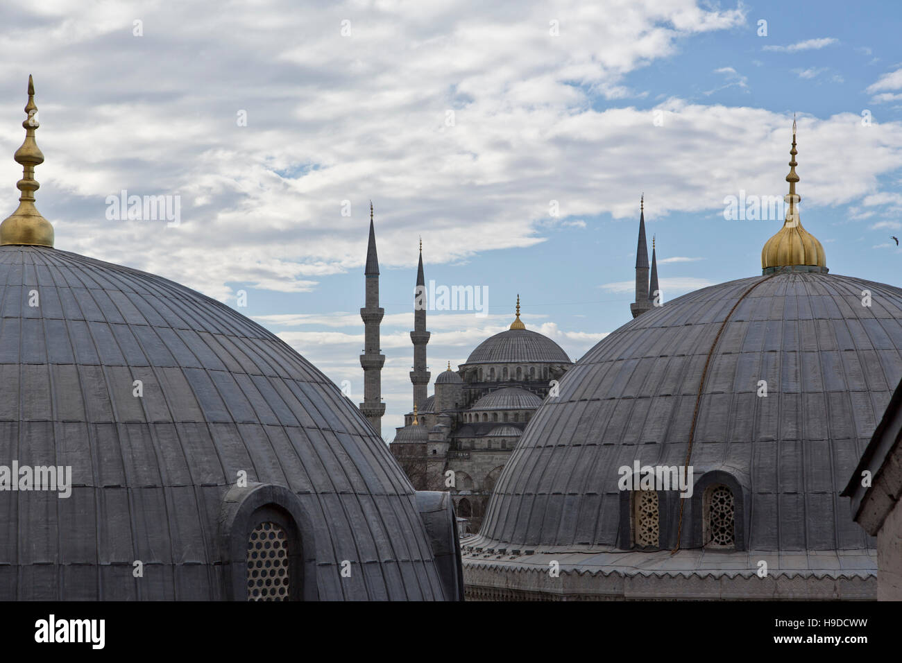 Blue mosque sultanahmet camii in hi-res stock photography and images ...