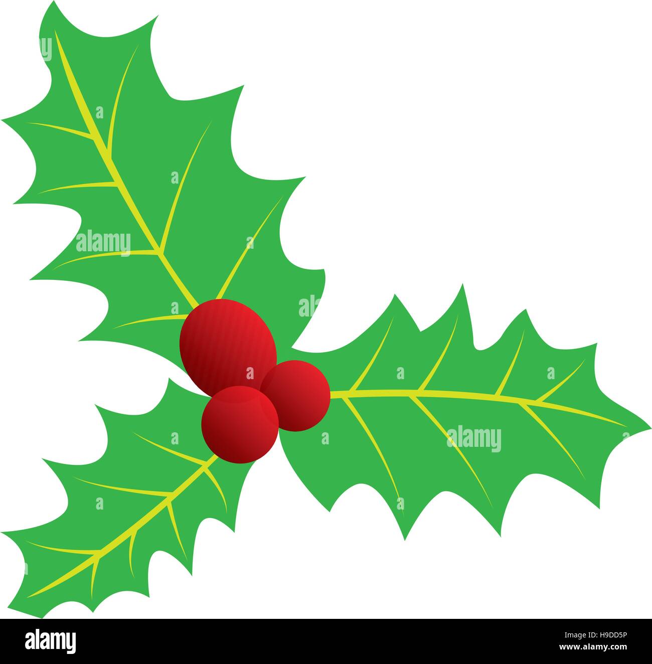 Isolated christmas leaves on a white background, Vector illustration ...