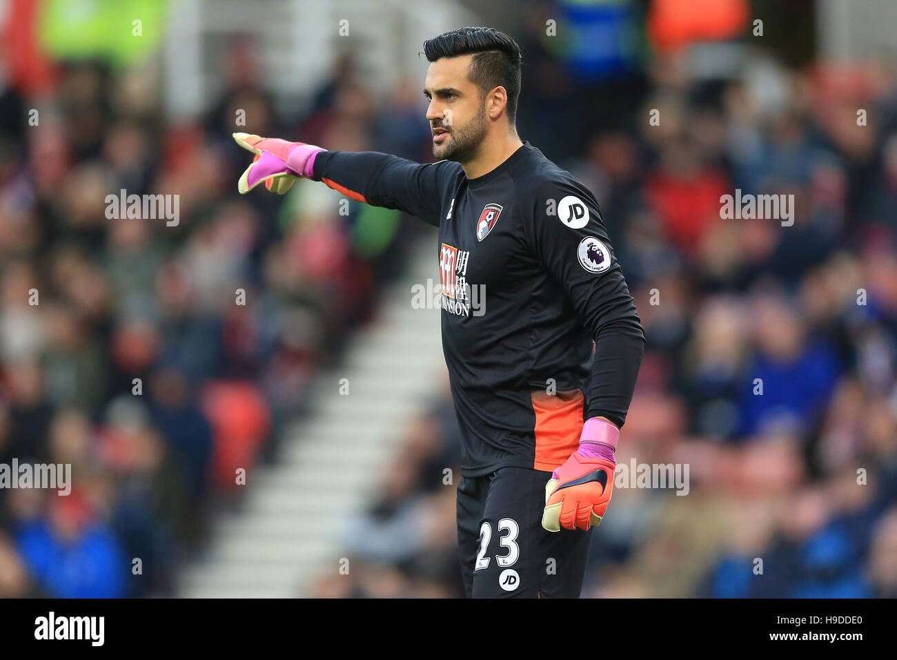 Bournemouth goalkeeper Adam Federici Stock Photo - Alamy