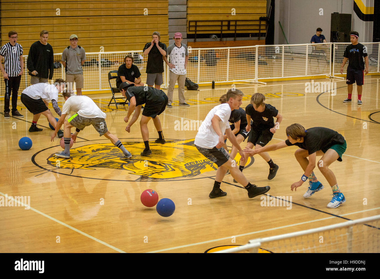 Dodgeball Game