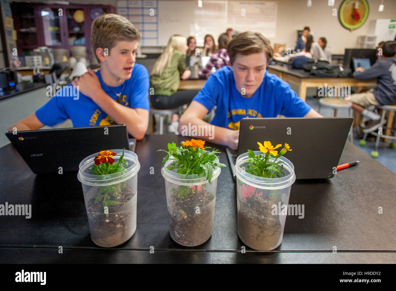 Students experiment indoor plants hi-res stock photography and images ...