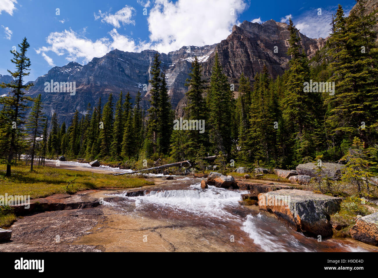 Water falls Banff national park Canada Stock Photo - Alamy