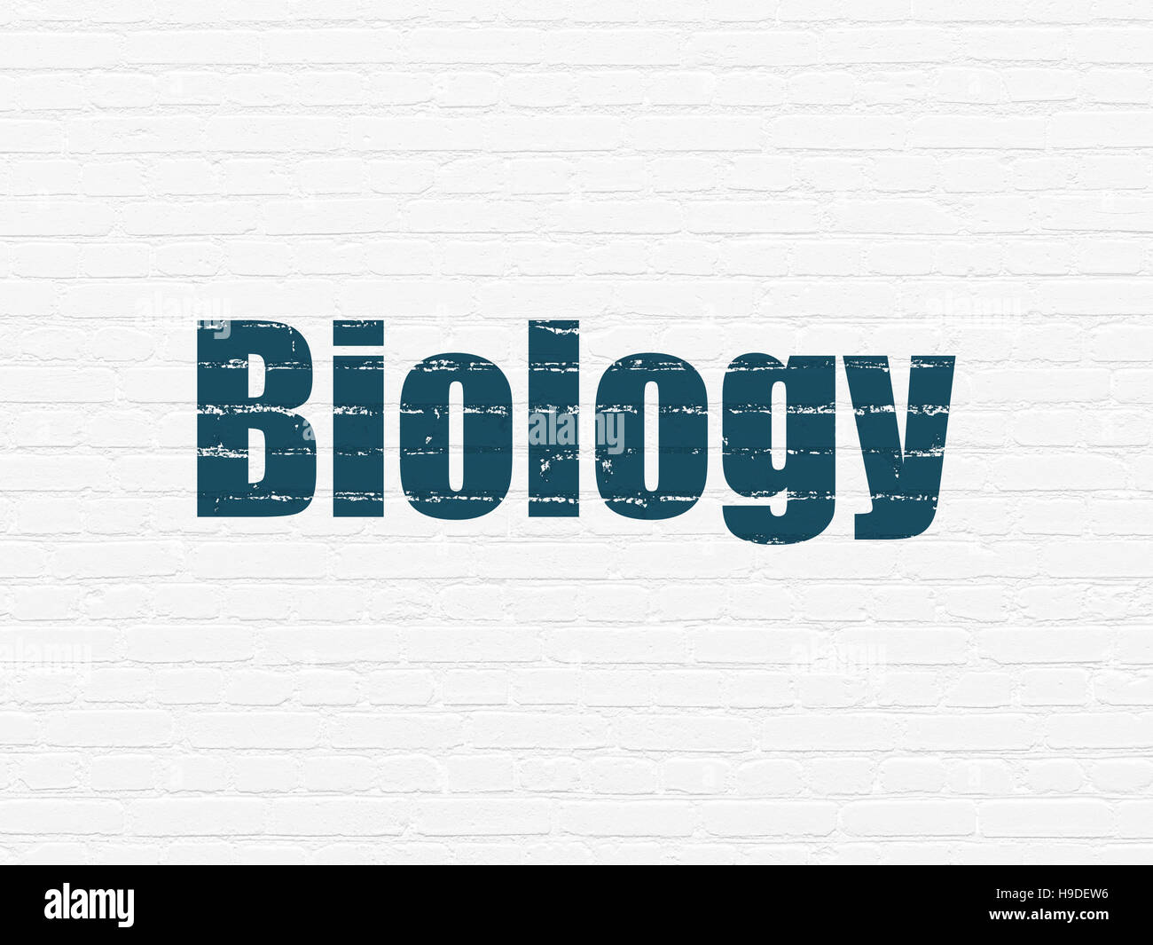 Studying concept: Biology on wall background Stock Photo - Alamy