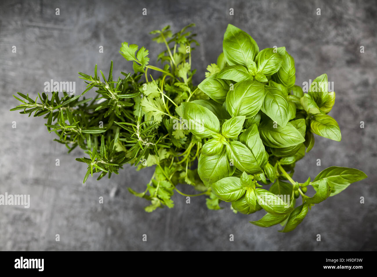 Fresh herbs on grey background Stock Photo - Alamy