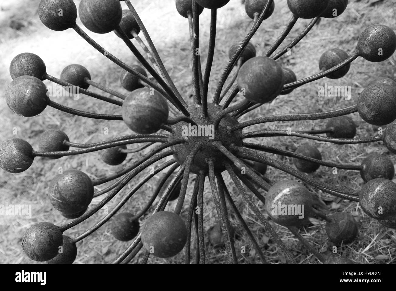 Summer harvest cut out Black and White Stock Photos & Images - Alamy