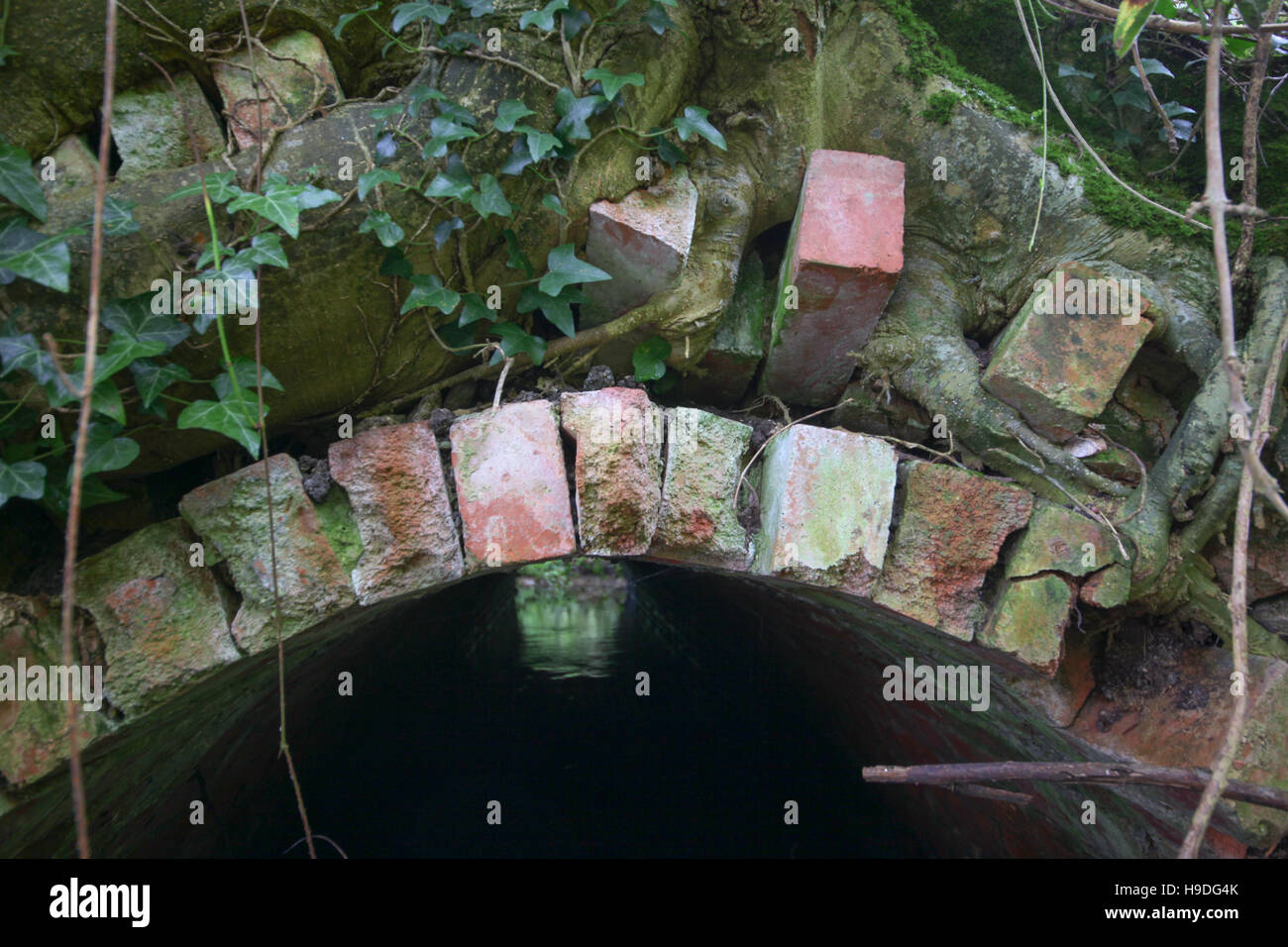 Collapsed Culvert High Resolution Stock Photography and Images - Alamy