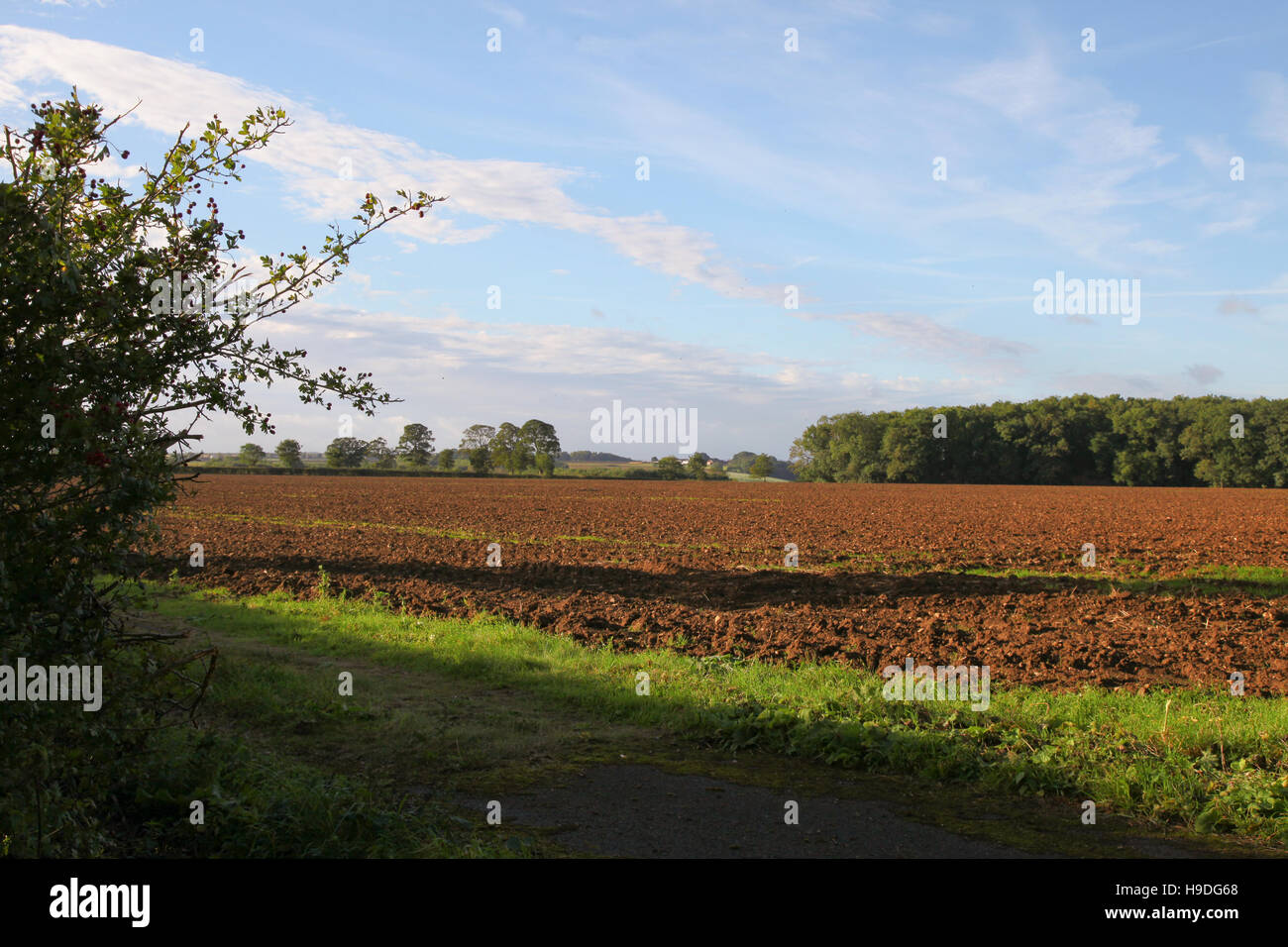 Green tractor, John Deere, plough, yellow wheels, open field, farming ...