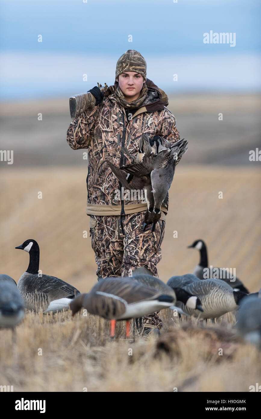 A duck hunter with Mallards and Pintail ducks in North Dakota Stock ...