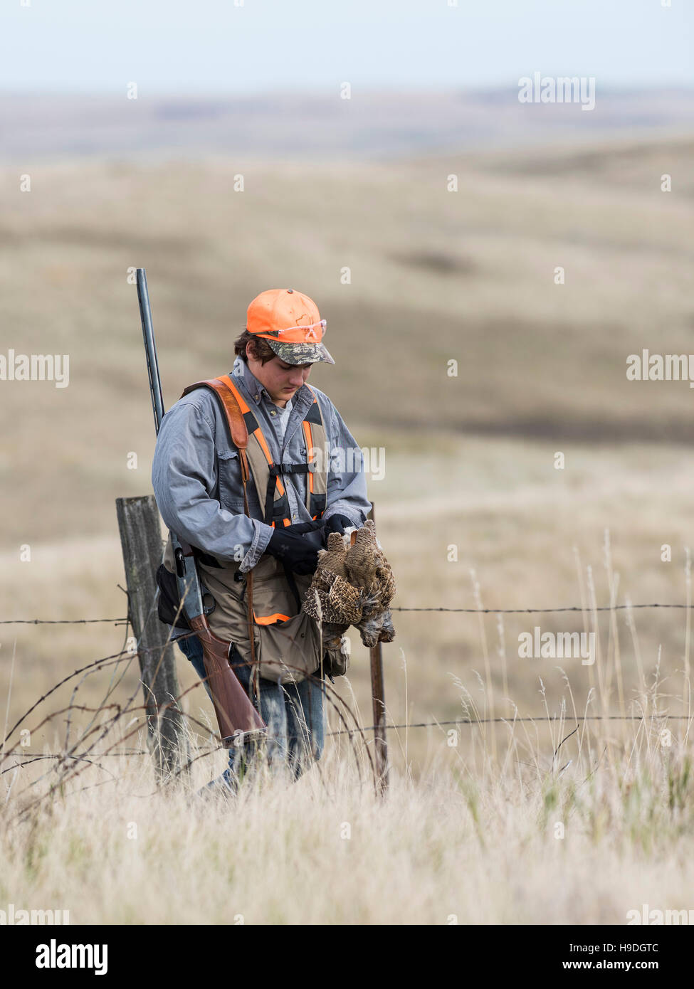 A hunter with Hungarian Partridge Stock Photo - Alamy