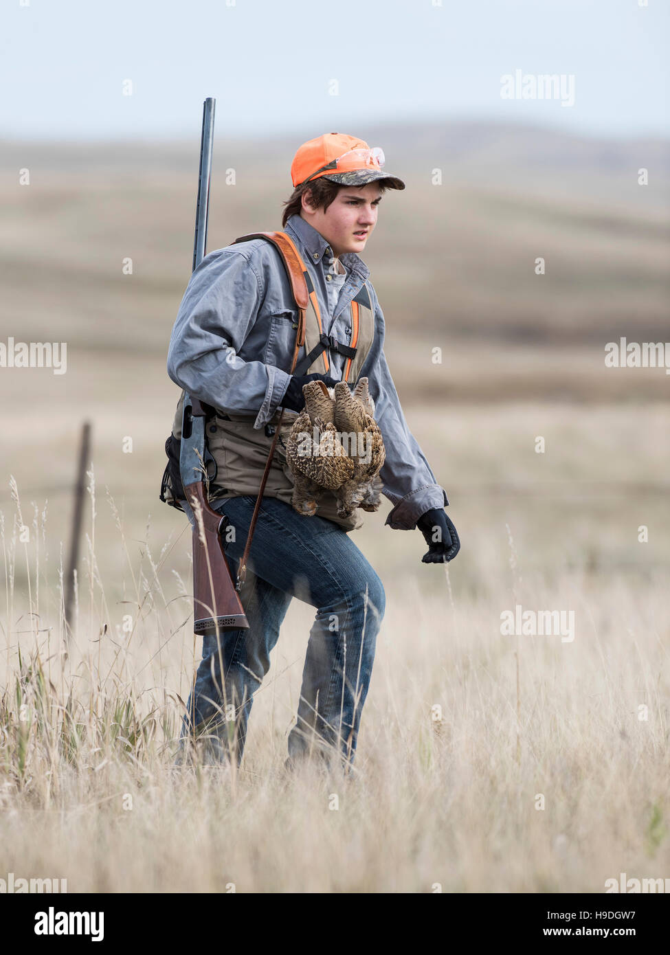 A hunter with Hungarian Partridge Stock Photo - Alamy