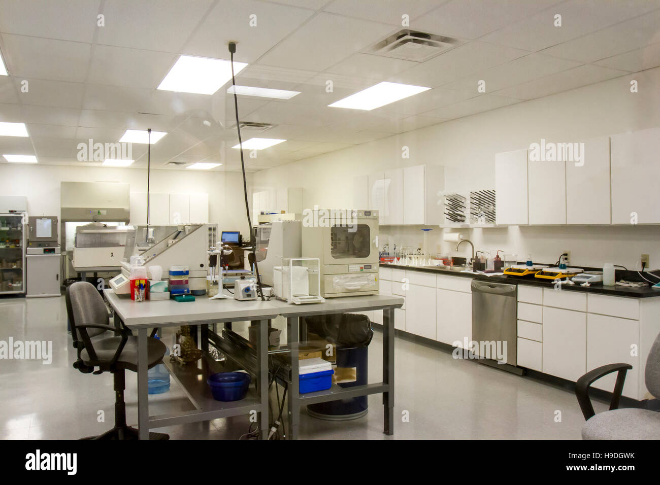 Modern lab used for yeast testing in bourbon distillery Stock Photo - Alamy