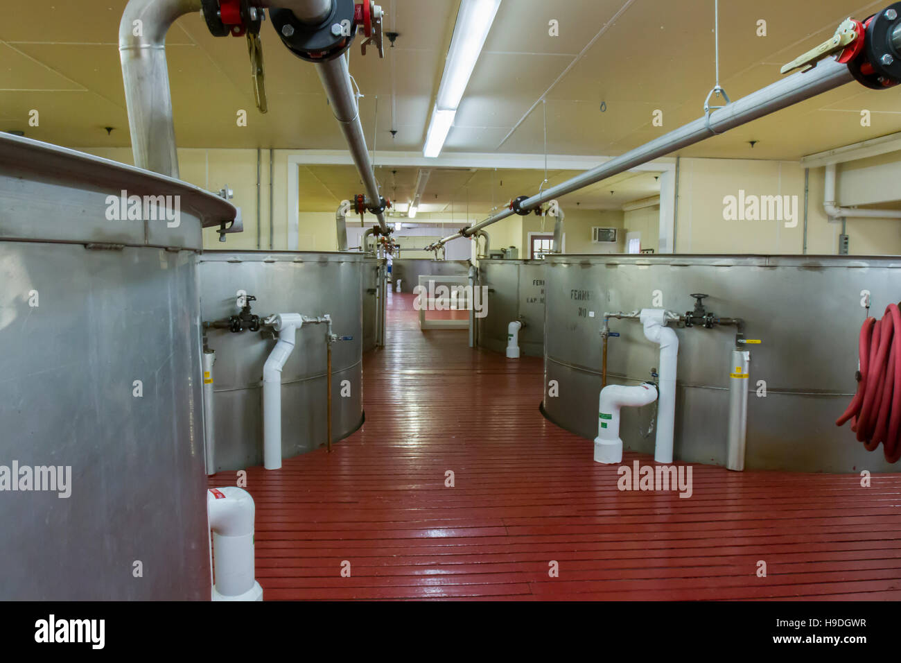 Inside modern fermentation room with large metal vats in bourbon ...