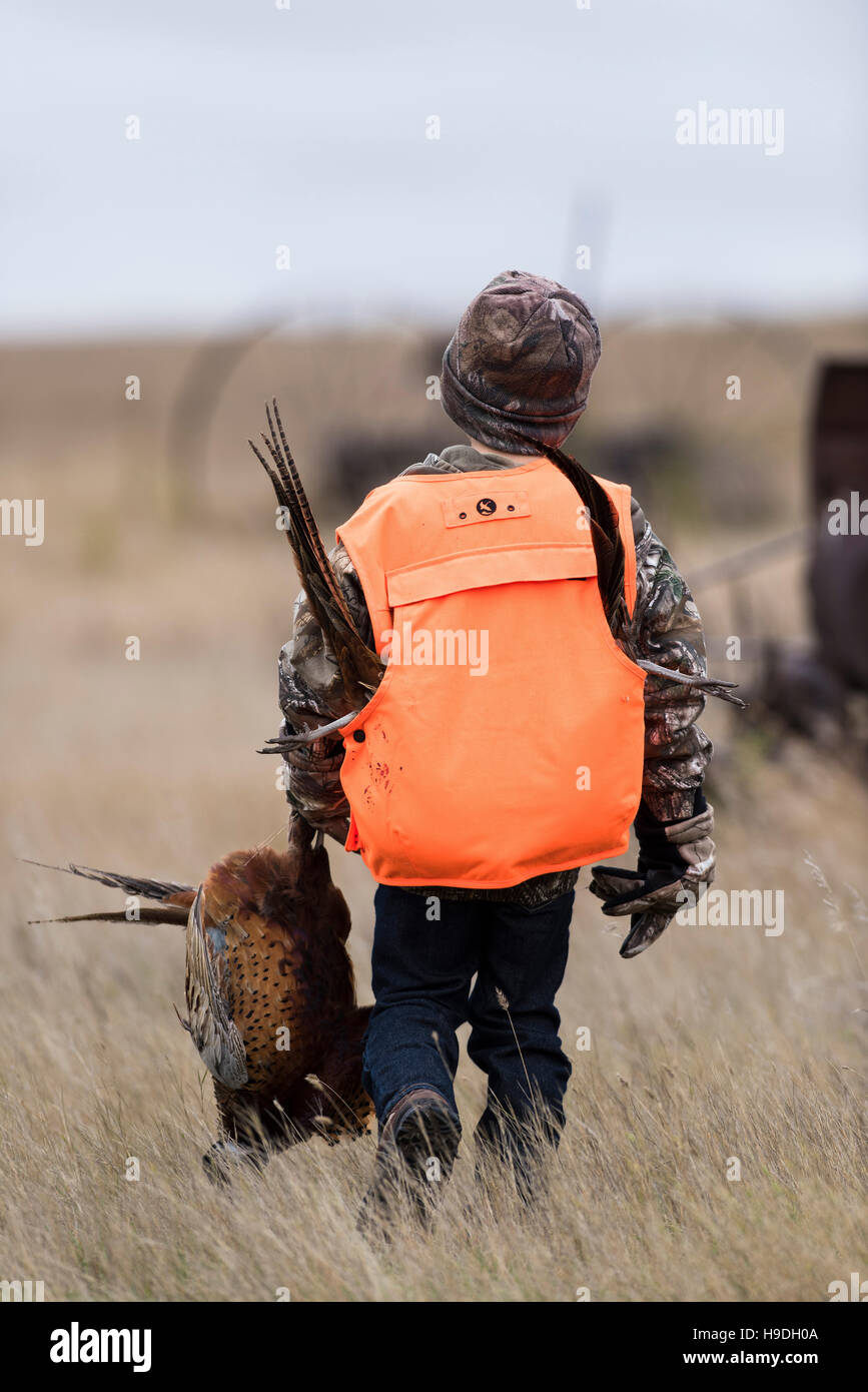 A young pheasant hunter with Rooster Pheasants Stock Photo - Alamy