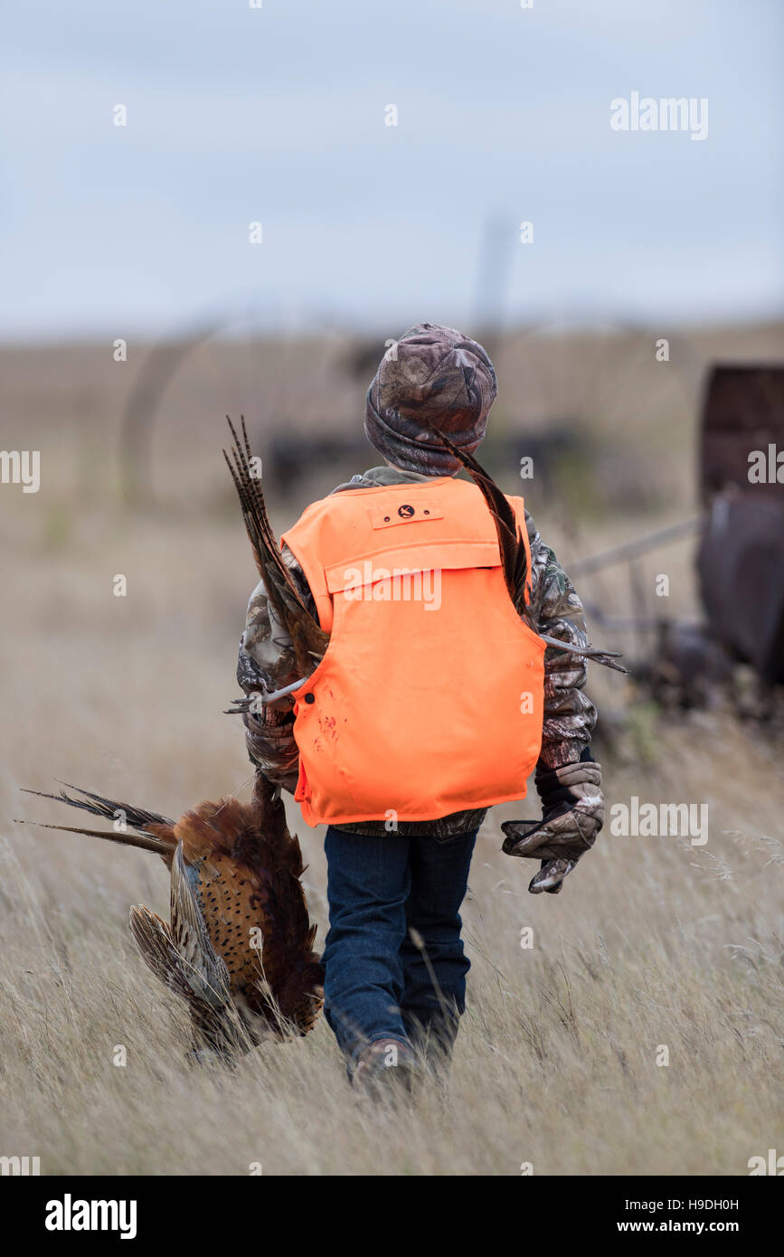 A young pheasant hunter with Rooster Pheasants Stock Photo - Alamy