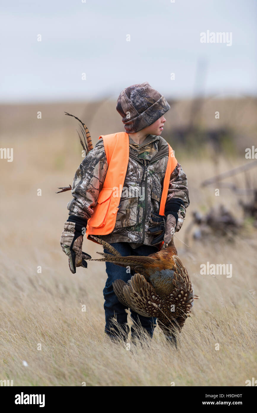 A young pheasant hunter with Rooster Pheasants Stock Photo - Alamy