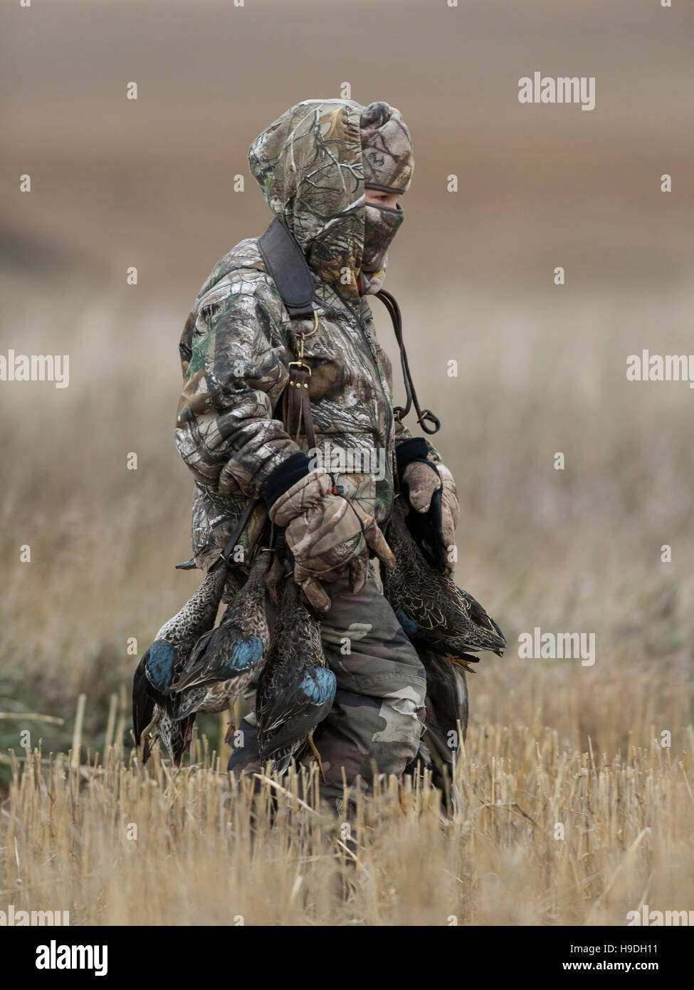 A Young duck hunter with Ducks in North Dakota Stock Photo - Alamy