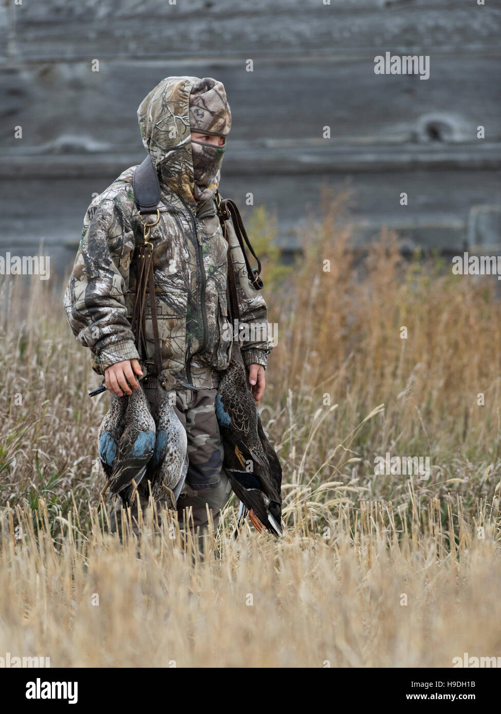 A Young duck hunter with Ducks in North Dakota Stock Photo - Alamy