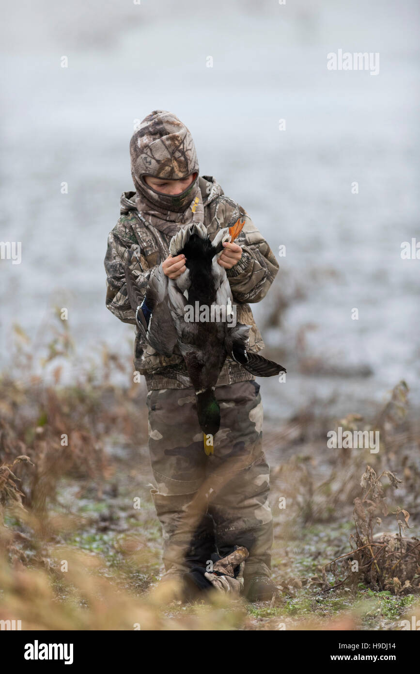 A Young duck hunter with Ducks in North Dakota Stock Photo - Alamy
