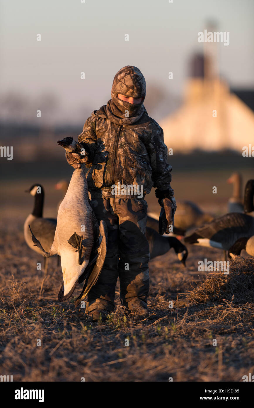 A young hunter with a Canada Goose in North Dakota Stock Photo - Alamy