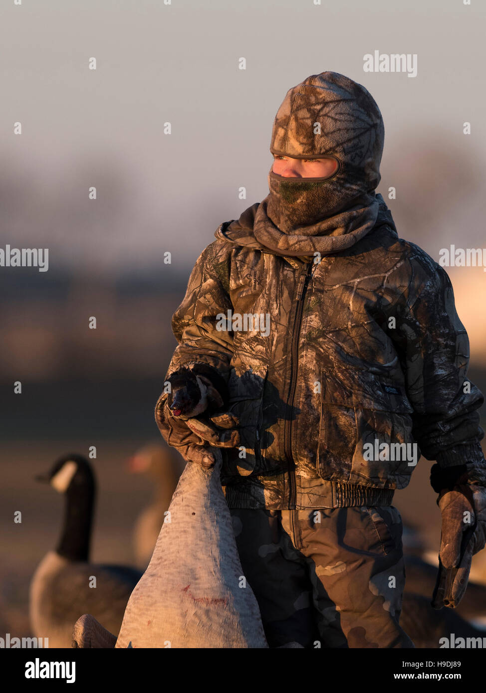 A young hunter with a Canada Goose in North Dakota Stock Photo - Alamy