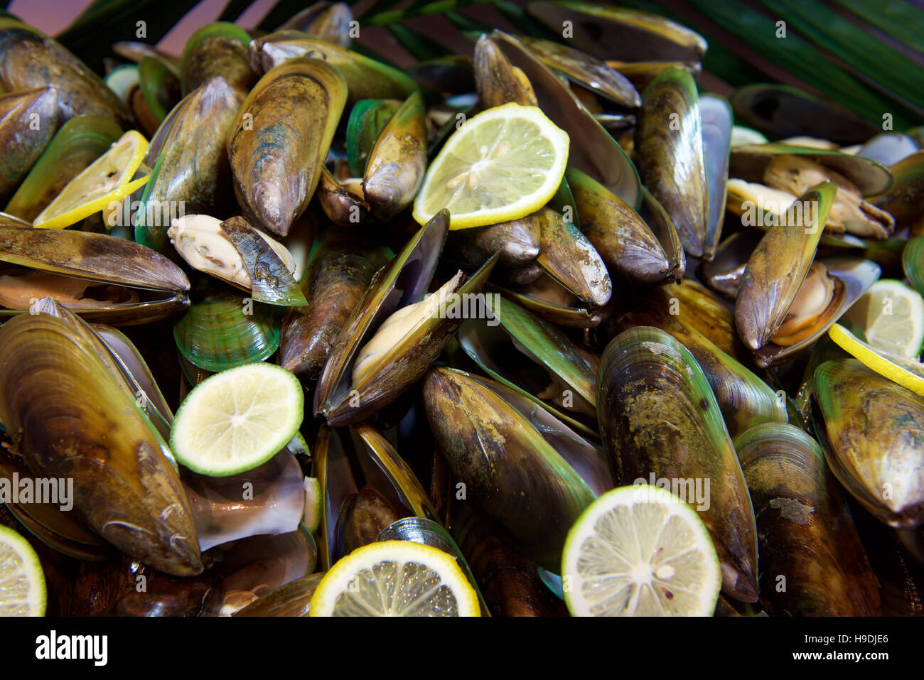Fresh Seafood mussels in buffet restaurant Stock Photo - Alamy