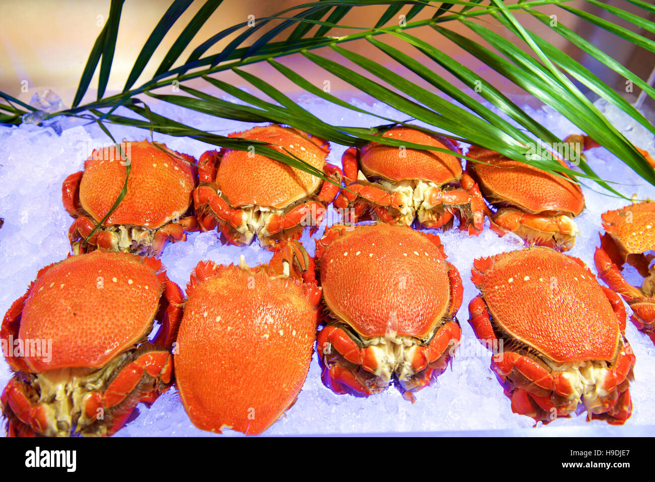 Fresh Seafood crab in buffet restaurant Stock Photo - Alamy