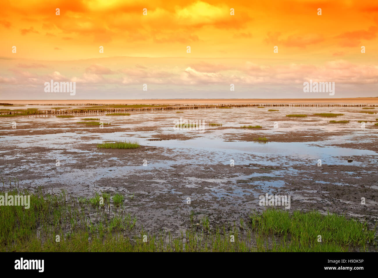 Danish wadden sea national park Stock Photo - Alamy