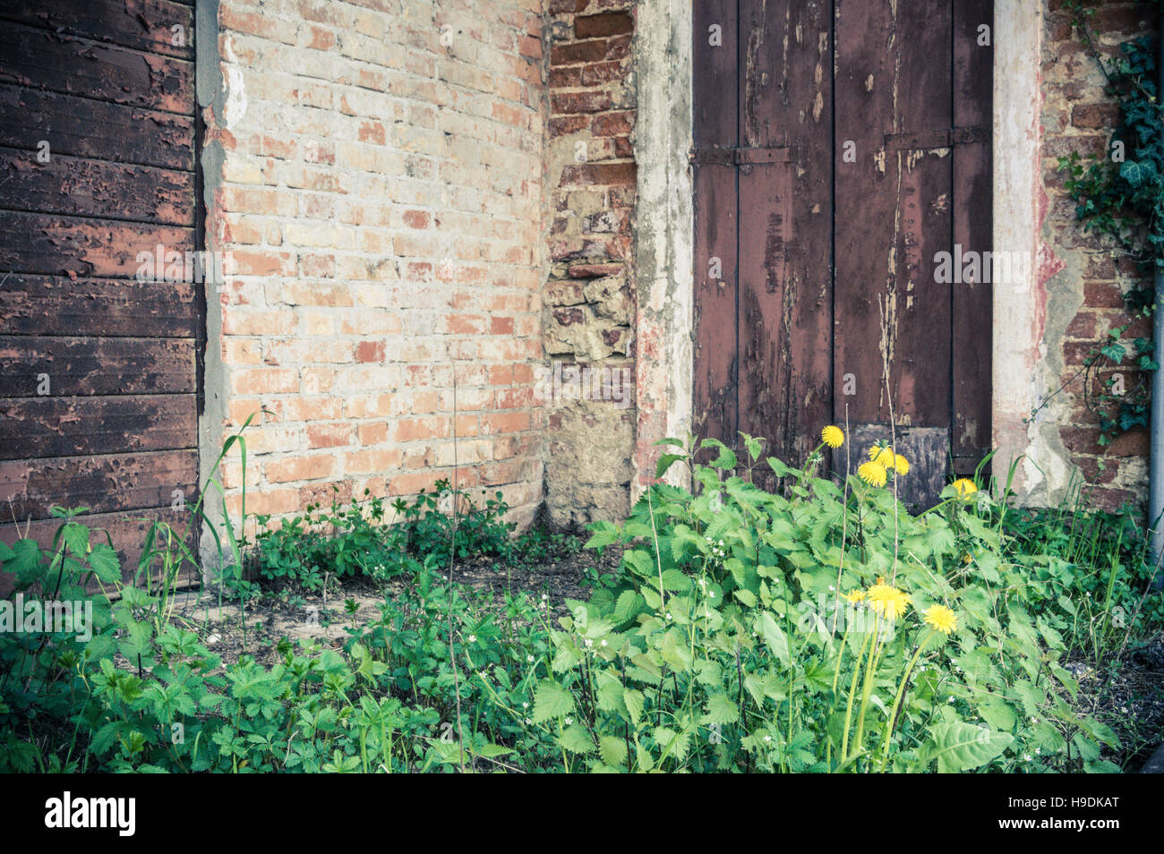 Bricks wall hi-res stock photography and images - Alamy