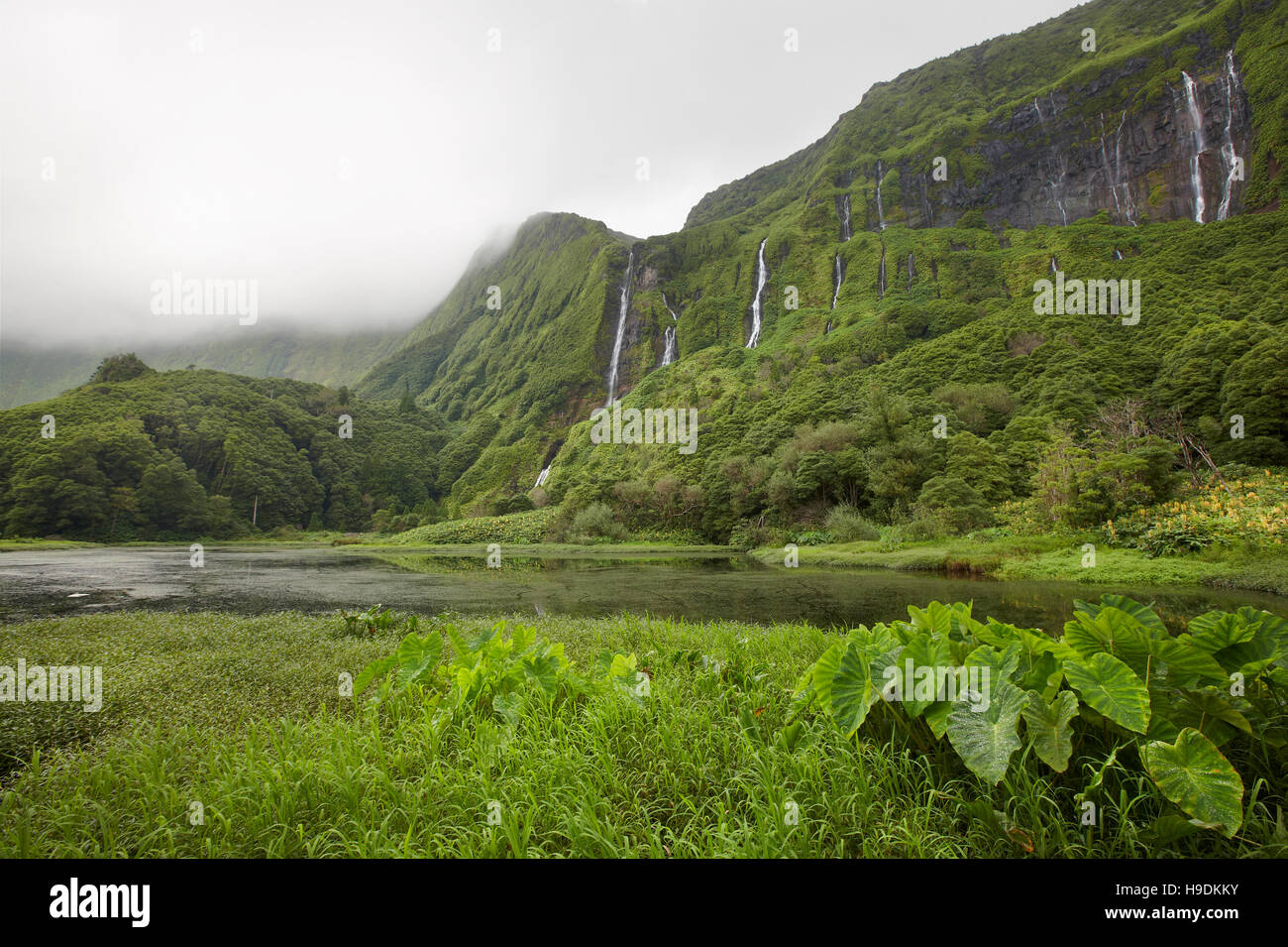 Azores landscape in Flores island. Waterfalls in Pozo da Alagoinha ...